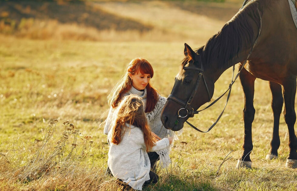 Equine Cremation - The Pet Crematoria Family