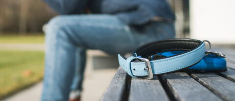 Ways to Remember a Much-Loved Pet - The Pet Crematoria Family