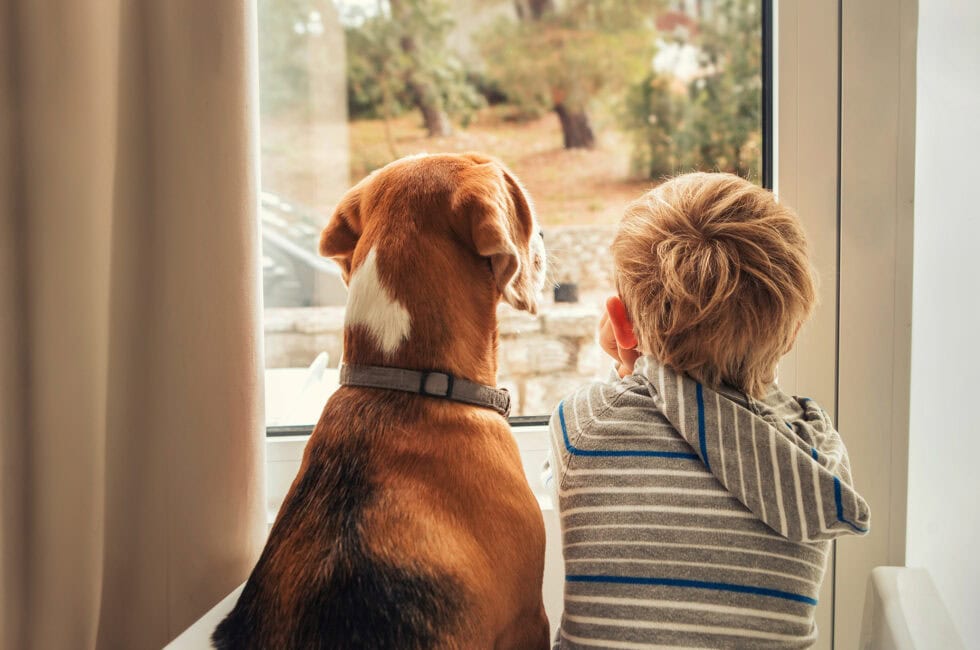 Ash Scattering - The Pet Crematoria Family